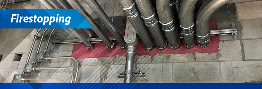 CSI Construction: Mold Remediation Services