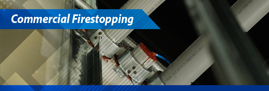 CSI Construction: Mold Remediation Services