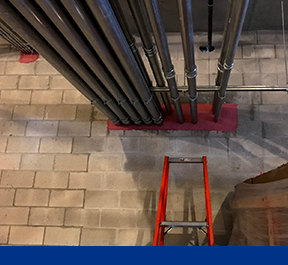 CSI Construction: Mold Remediation Services