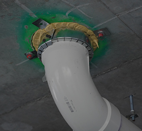 CSI Construction: Mold Remediation Services